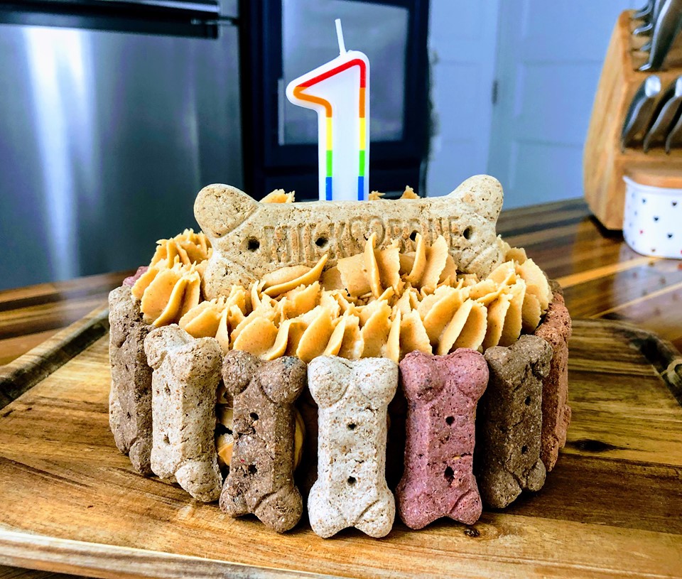 Pumpkin PupCake - Espresso and Lime